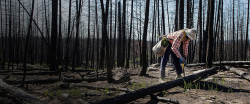 Sustainable Clothing by tentree® | Shop Organic + Plant Trees